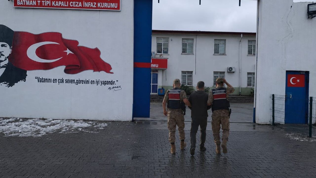 Batman’da kenevir operasyonu: 3 bin 776 kök ele geçirildi, 2 kişi ...
