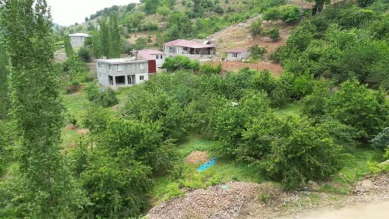 Osmaniye'nin Bahçe ilçesinde kiraz hasadı başladı