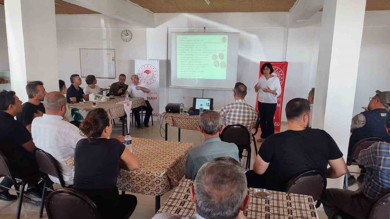 Simav’daki seracılara domates hastalıkları ve zararlıları eğitimi