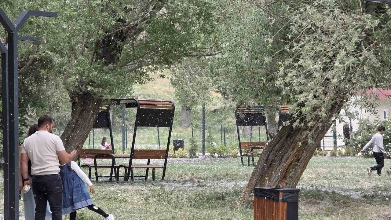 Van’da polen yağışı kent merkezini beyaza bürüdü