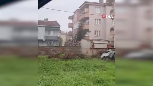 İnegöl Süleymaniye Mahallesi'nde şehir merkezine inen tilki görüntülendi