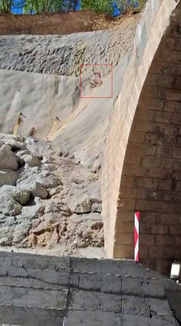 Malatya'nın Doğanşehir'de Sarp Kayalıklarda Yaban Keçileri Görüntülendi
