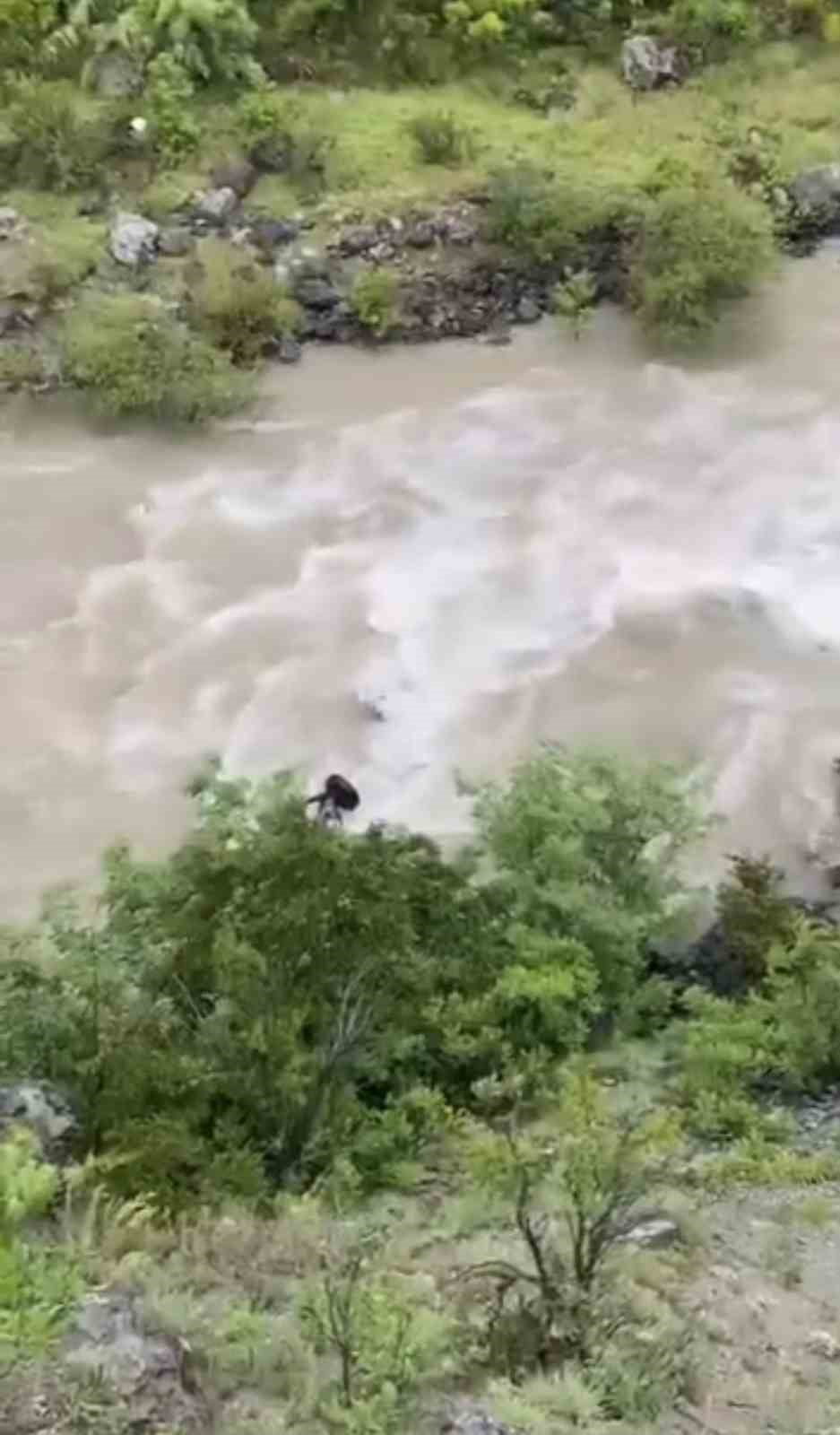 Artvin'de otomobil Çoruh Nehri'ne uçtu; baba ile oğlu aranıyor